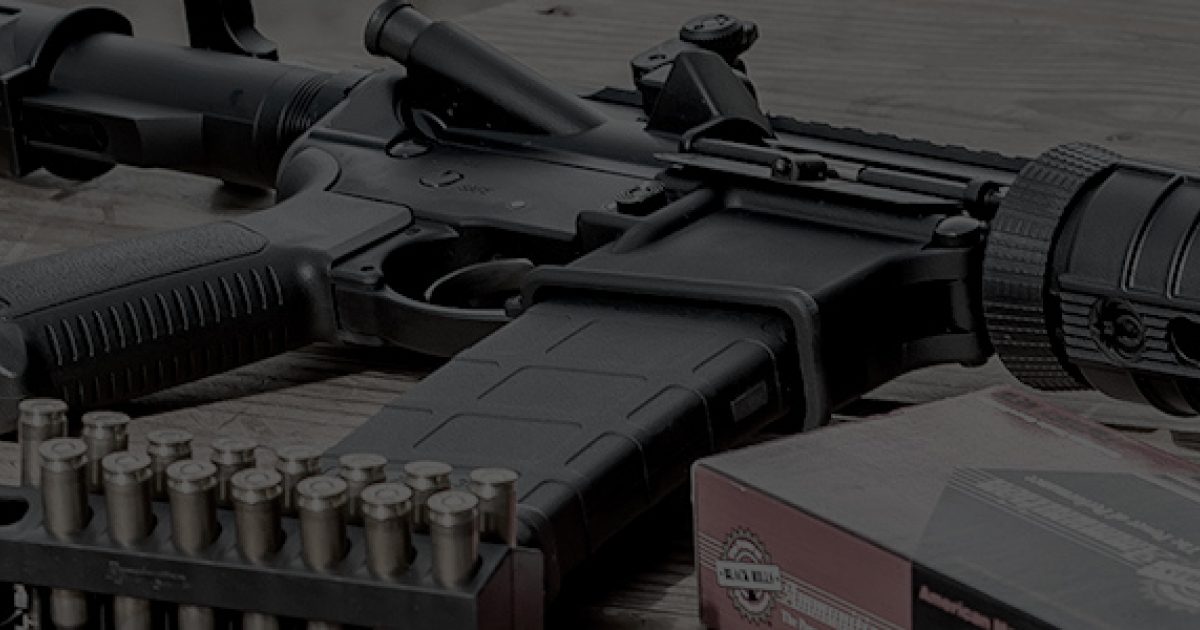 Ruger - Weapons - NIOA